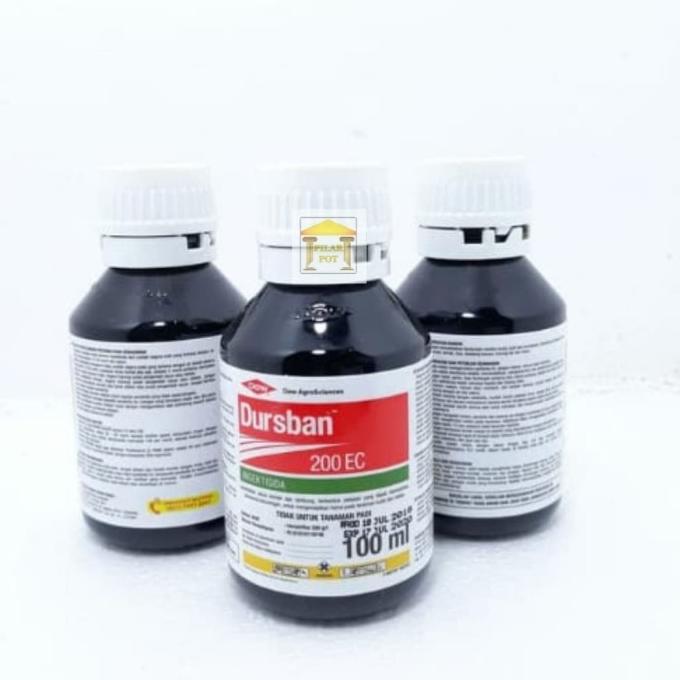 obat hama tanaman dursban 100ml basmi kutu putih ulat daun belalang ...