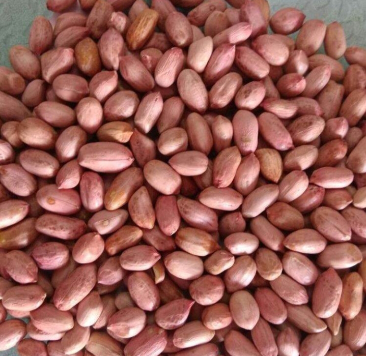 Kacang Tanah Mentah Kacang Tanah Kupas Lazada Indonesia Kacang Tanah Mentah Kacang Tanah Kupas Lazada Indonesia
