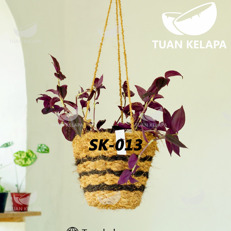 Pot Wadah Tanaman D 20 Kombi 1 Standart / Pot Sabut Kelapa / Pot Bunga / Pot Tanaman / Wadah ...