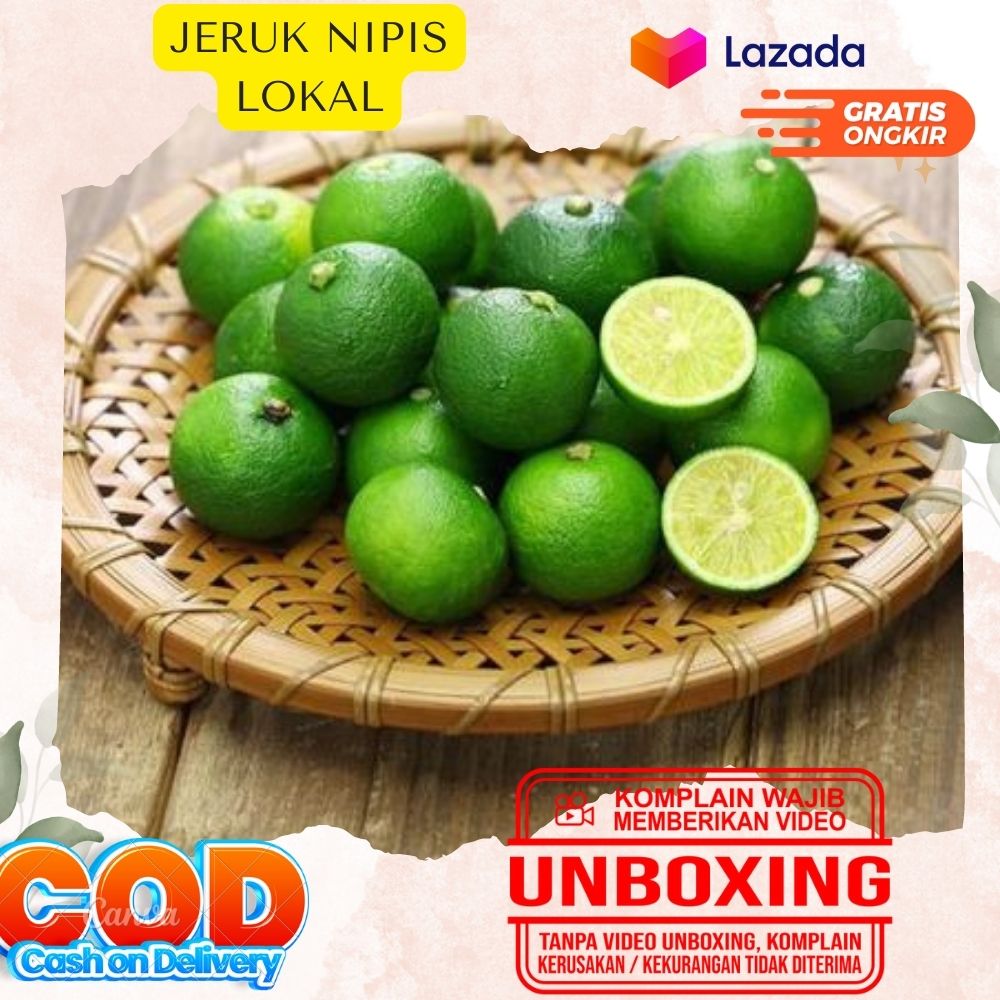 Jeruk Nipis Lokal 1KG segar | Lazada Indonesia