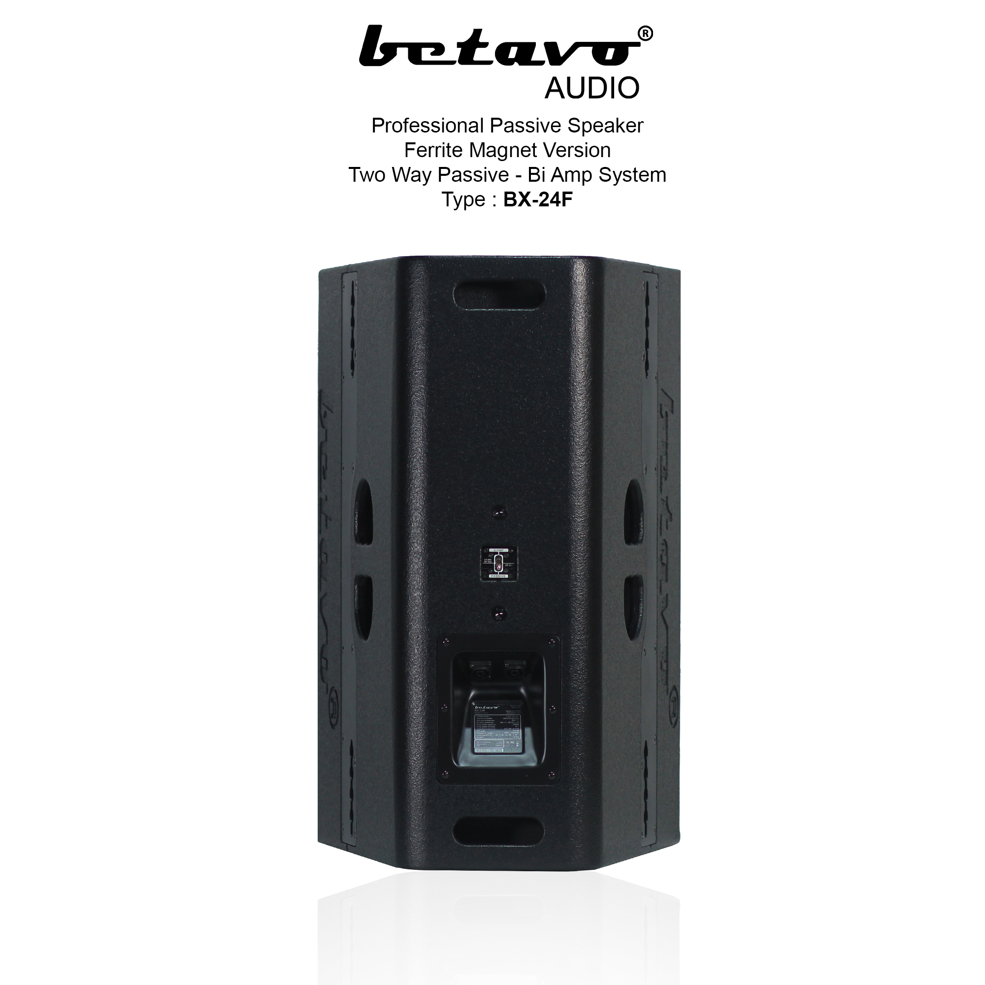 Professional Passive Speaker Two Way Passive - Bi Amp System Betavo BX ...