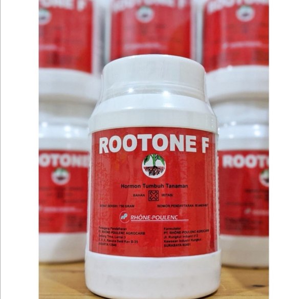 Rootone F 750 gr | Lazada Indonesia