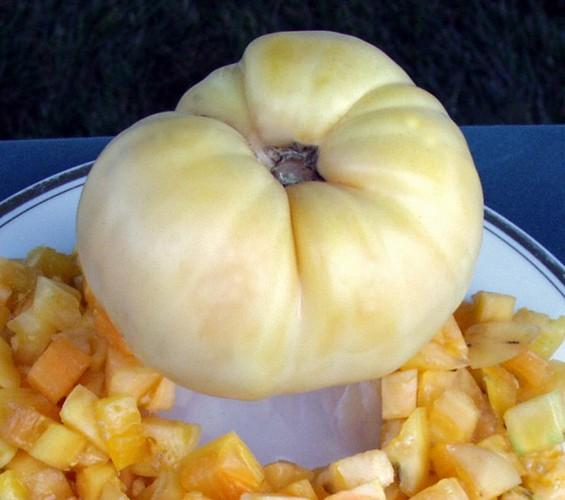 Amefurashi 10 Benih Sayur Tomat Putih Great White Tomato | Lazada Indonesia