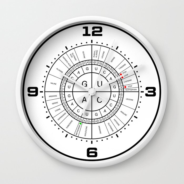 jam dinding roda mrna kodon mrna codon wheel wall clocks Diameternya ...