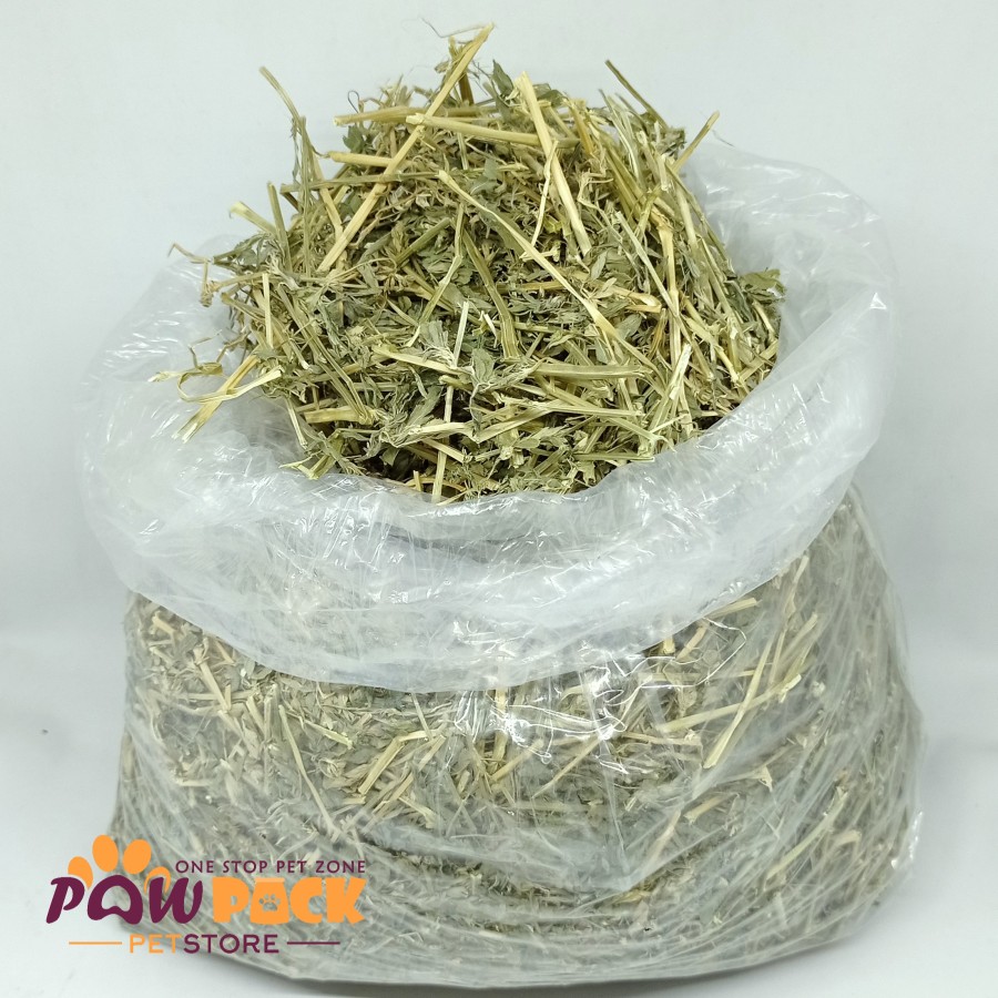Rumput alfalfa Hay Special Hay 1kg makanan kelinci torto | Lazada Indonesia