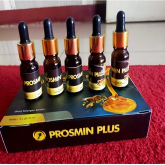 Prosmin Propolis Mineral 1 Box Isi 5 Botol Original | Lazada Indonesia