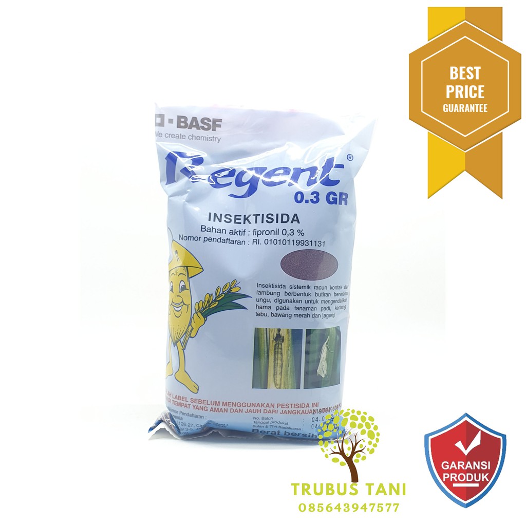 Insektisida Racun semut Regent 0.3 gr 1Kg | Lazada Indonesia