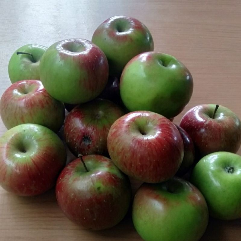 Buah Apel Rome Beauty Apel Malang 1kg Asem Manis Segar | Lazada Indonesia
