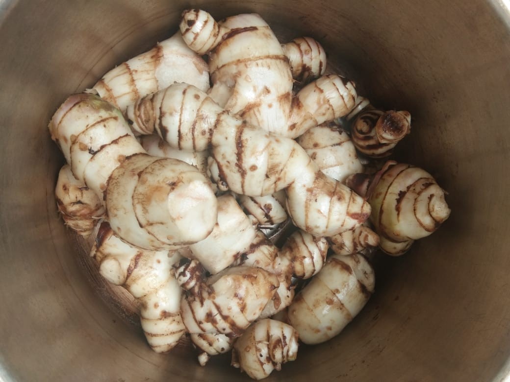 umbi ganyong 1kg | Lazada Indonesia