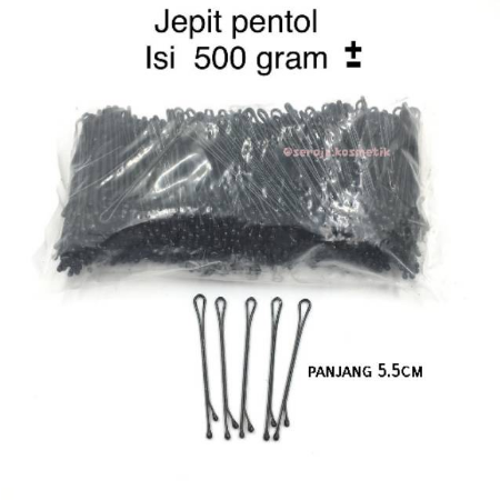Jepit Lidi 500gram / Jepit Pentol / Jepit Biting | Lazada Indonesia