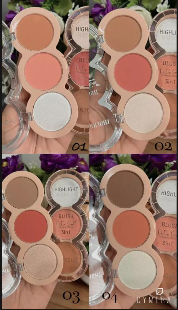 [1 BUAH]DoDo Girl Profesional Makeup 4 Color Blush Cheeks Palette ...