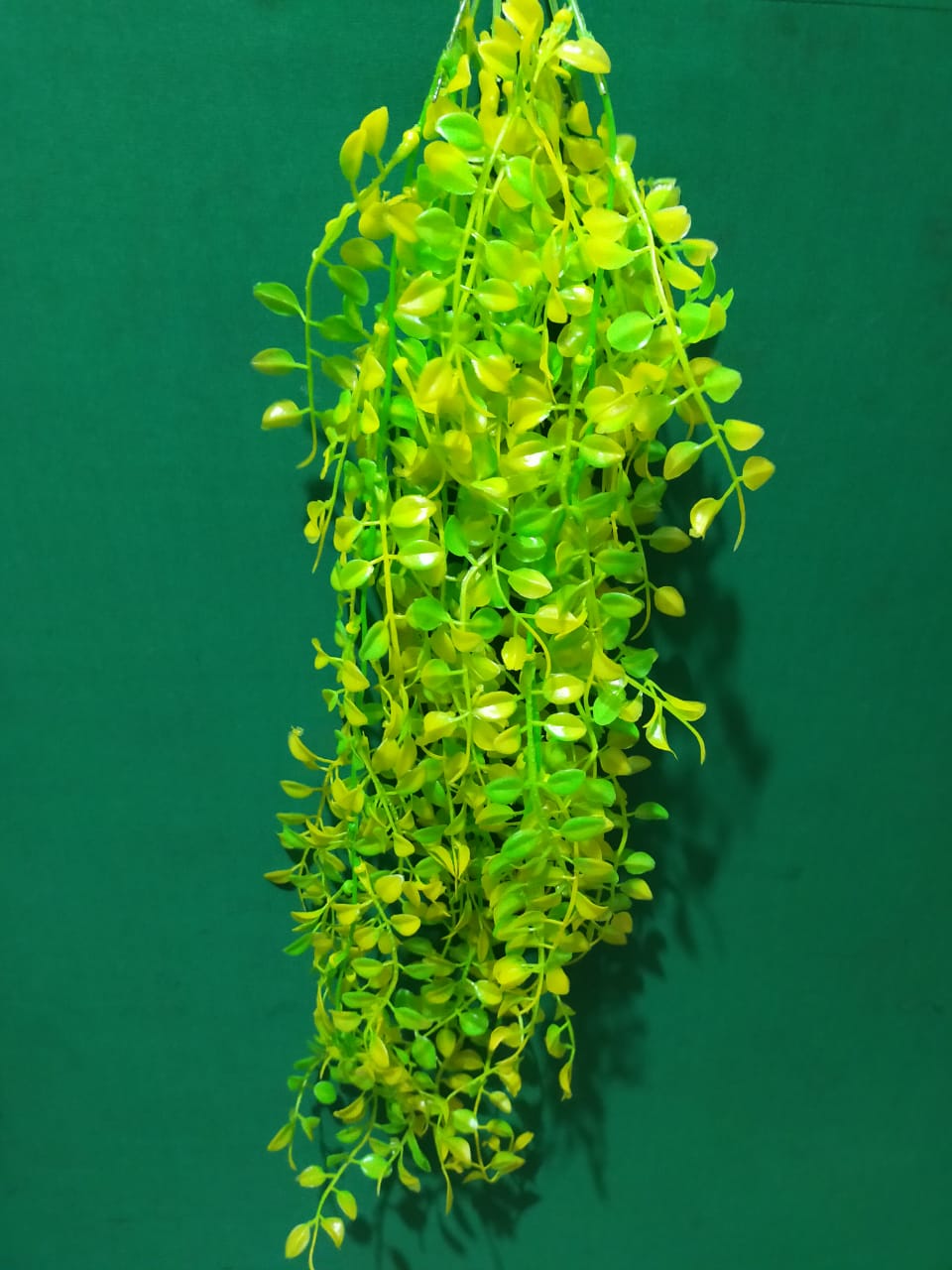 RAMBAT DINDING/RAMBAT ARTIFICIAL/RAMBAT PAKIS/RAMBAT BAMBU/RAMBAT ...