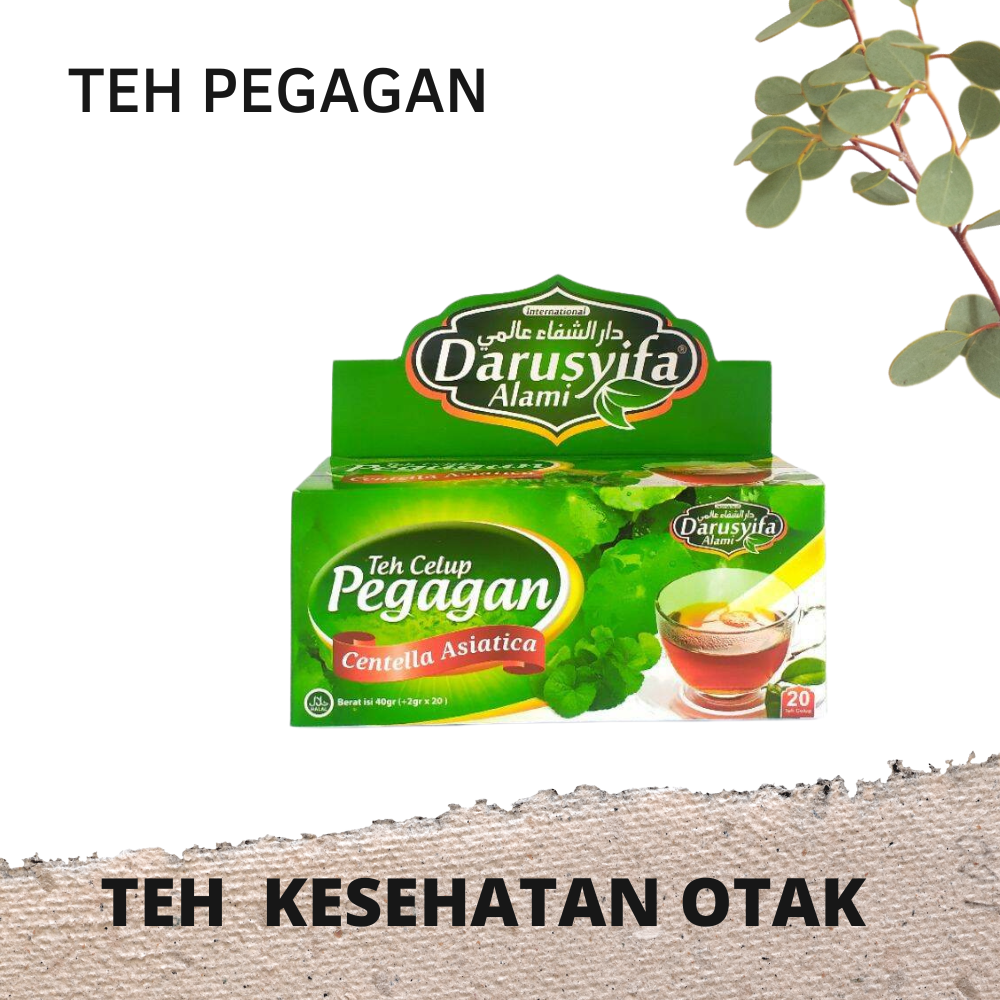 Teh Celup Herbal Kesehatan Pegagan Centella Asiatica Isi 20 sachet ... Teh Celup Herbal Kesehatan Pegagan Centella Asiatica Isi 20 sachet ...