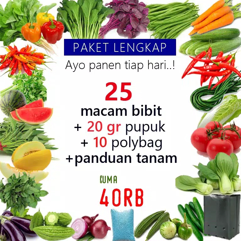 Paket sayuran 25 jenis Bonus Pupuk & Polybag | Lazada Indonesia