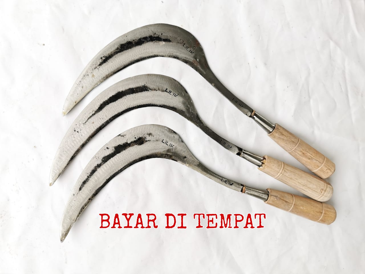 arit baja asli model madura putih panjang super tajam - sabit pemangkas ...