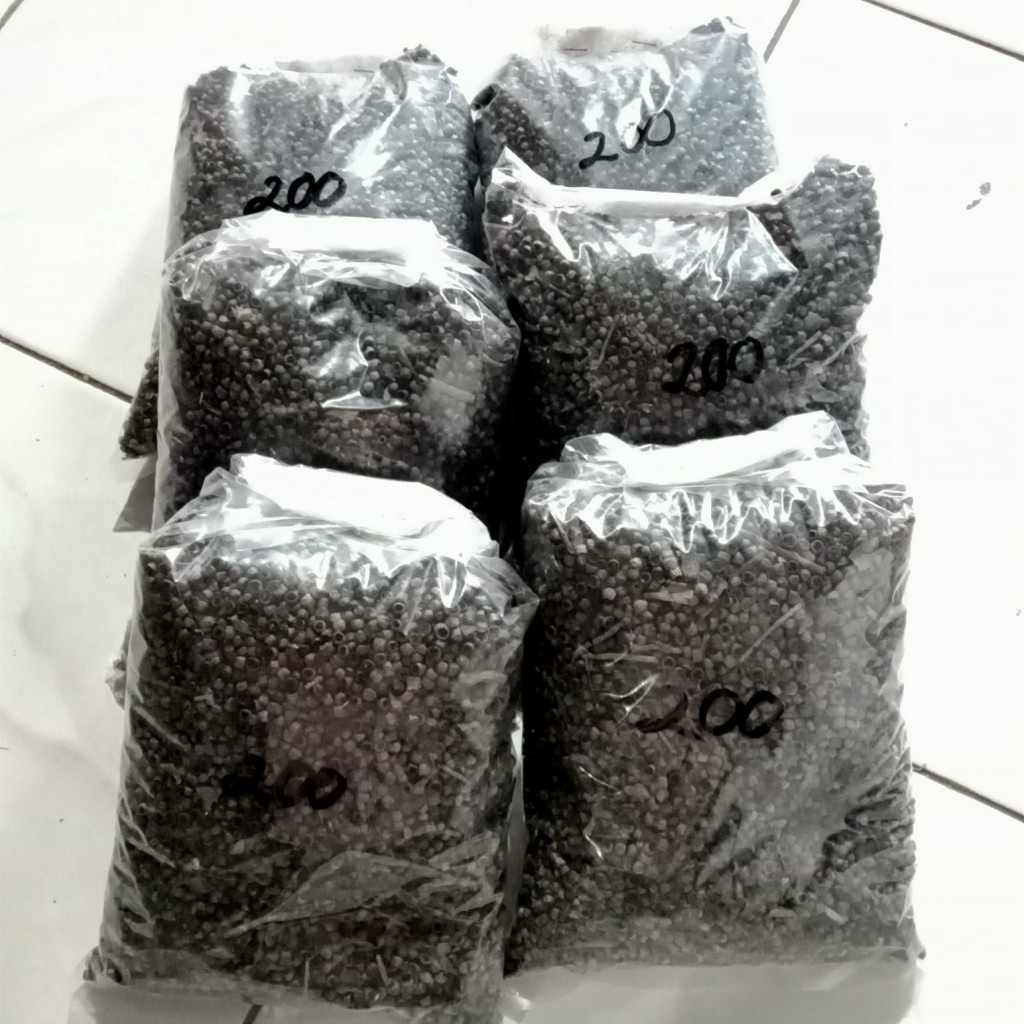 Lada Merica Bolong Kering Rempah Jamu Herbal Tradisional Anti Diare ...