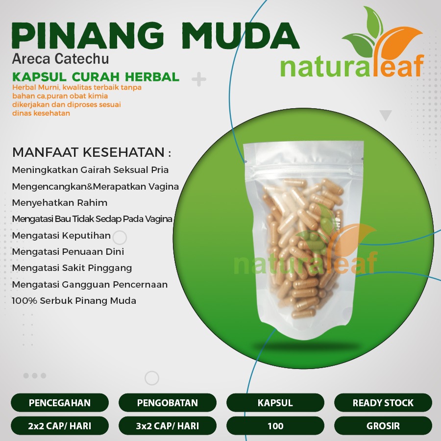 Kapsul Herbal PINANG MUDA Vita*itas Pria Anti Aging Rabun 100 capsul ...