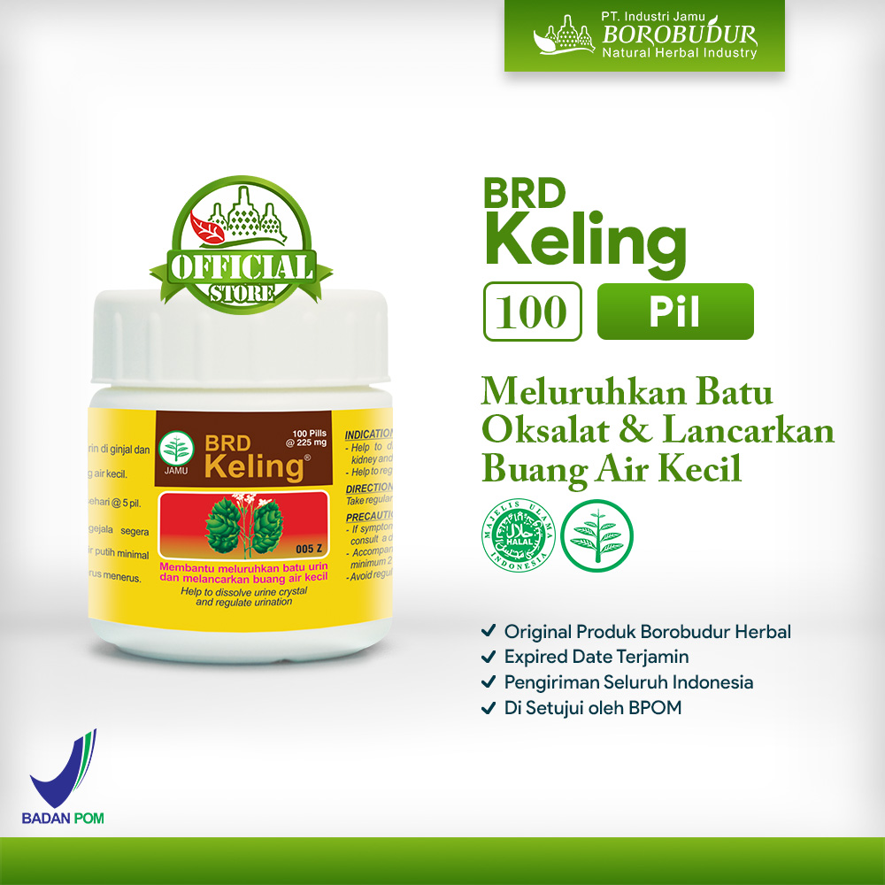 Borobudur Herbal Keling 100 Pil - Meluruhkan Batu Oksalat di Ginjal ...