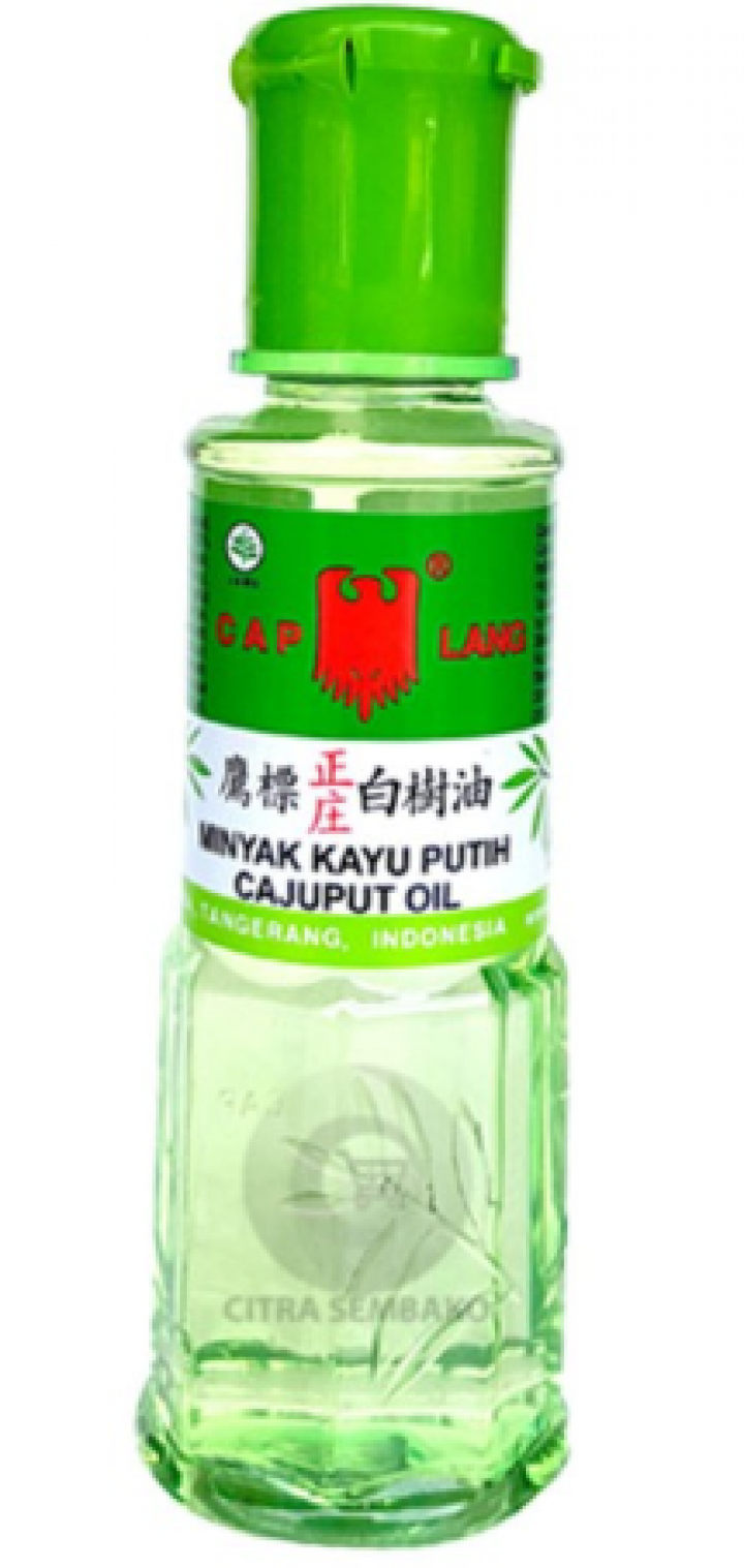 Cap Lang Minyak Kayu Putih ukuran 15ml | 30ml | 60ml | 120ml | 210ml | Lazada Indonesia