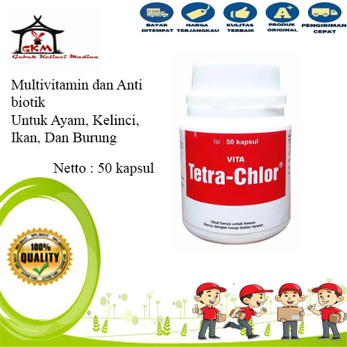 Vita Tetra Chlor Antibiotik dan Vitamin 50 Kapsul | Lazada Indonesia