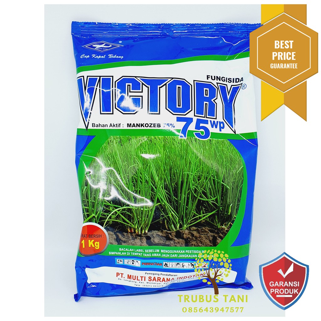 Fungisida VICTORY 80WP BIRU - mengendalikan Penyakit Antraknosa (Patek ...