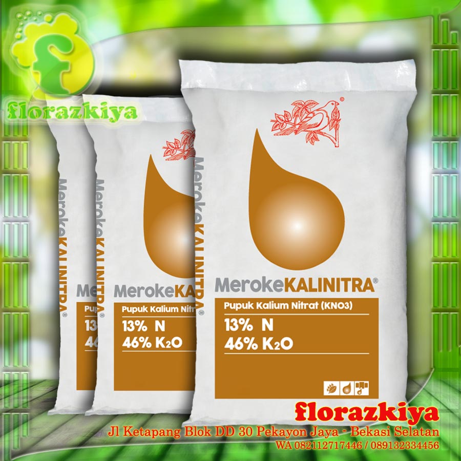 PUPUK KNO3 PUTIH MEROKE KALINITRA ORIGINAL 1 KG | Lazada Indonesia