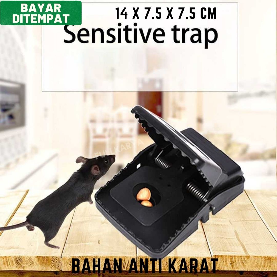 Alat Perangkap Tikus - Jebakan Tikus - Perangkap Tikus Jepit Paling ...