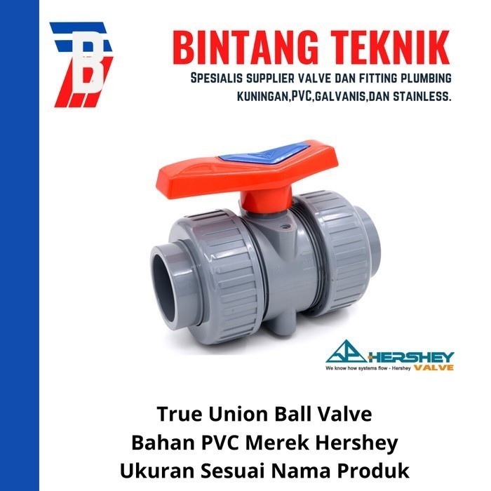 True Double Union Ball Valve 1" inch PVC Socket (Polos) Hershey ...
