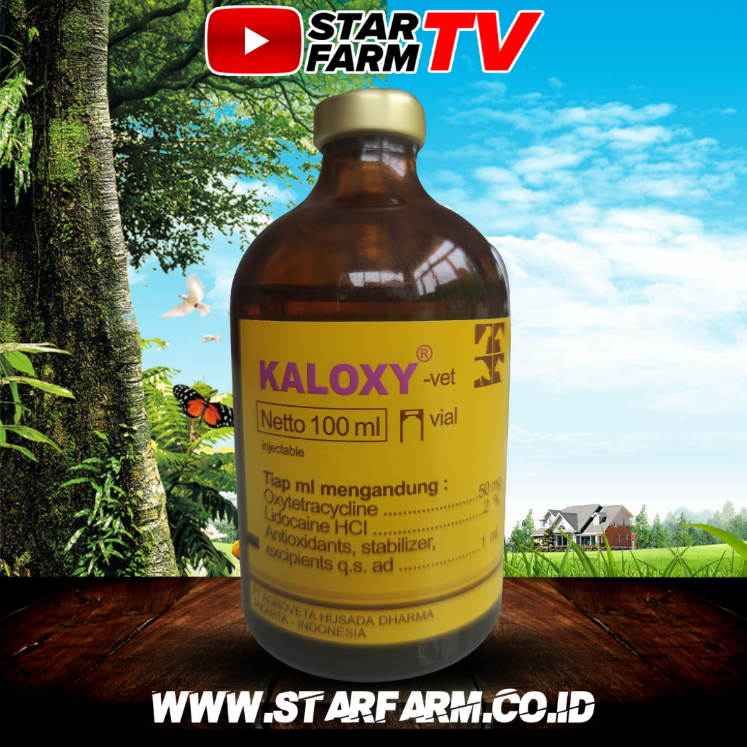 Kaloxy Vet 100ml - Star Farm | Lazada Indonesia