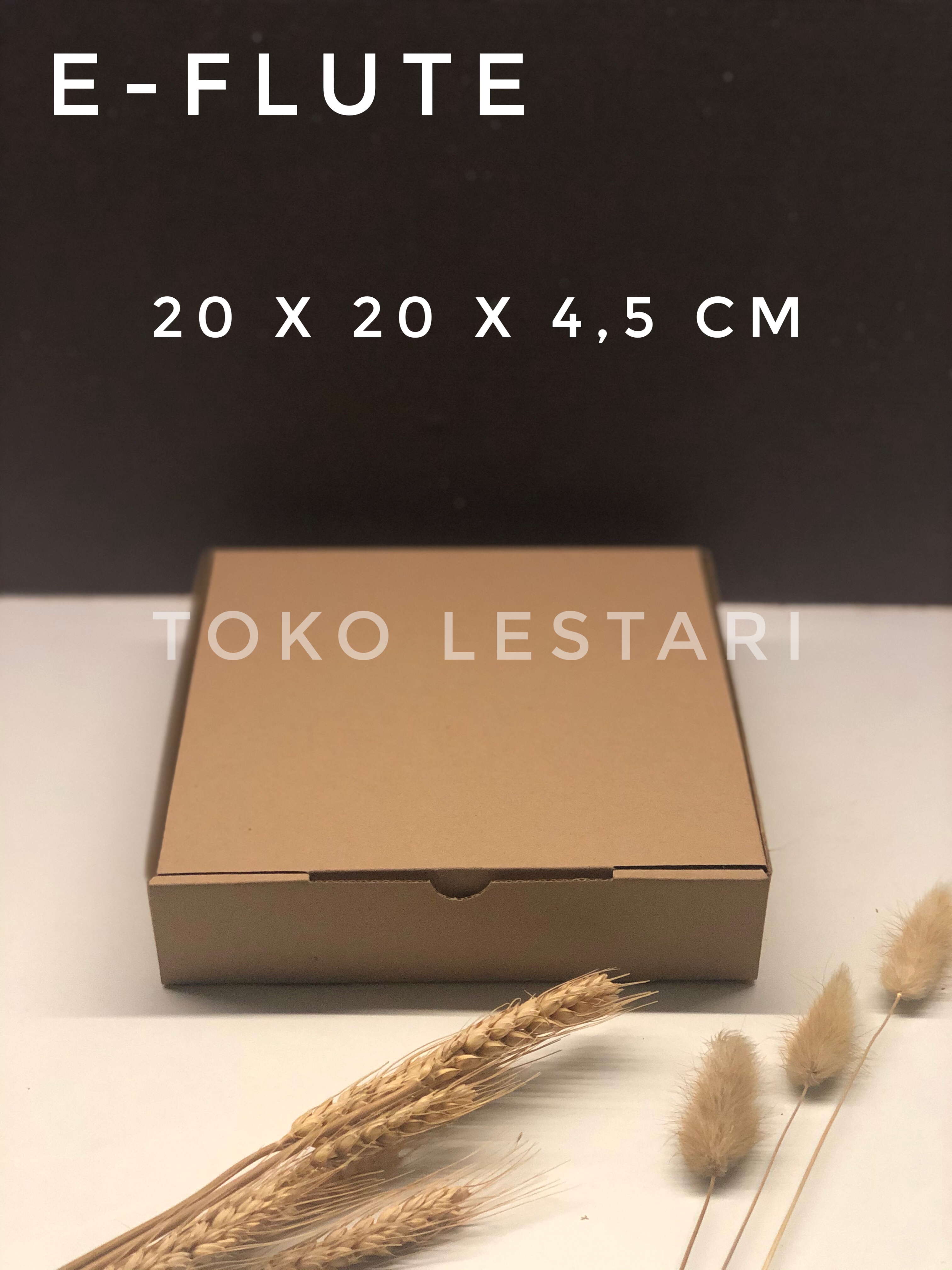(5 Pcs) Box Kardus E-Flute Coklat 20x20x4.5 CM Untuk Packaging Olshop ...