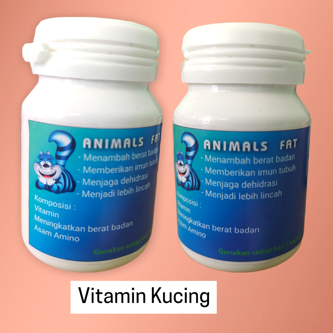 Vitamin Kucing Biar Gemuk dan Penambah Imun Tubuh isi 30 Kapsul ...