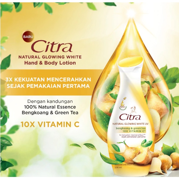 HAND AND BODY LOTION CITRA 230 ML | Lazada Indonesia