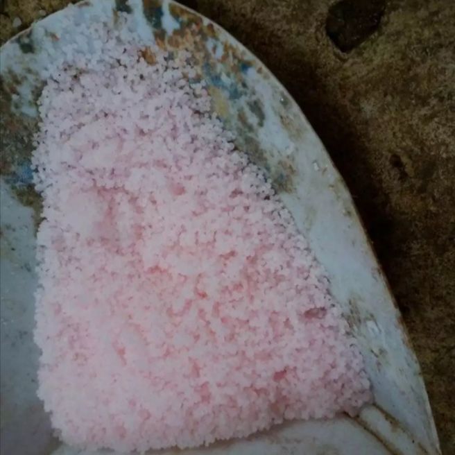 pupuk urea pink | Lazada Indonesia