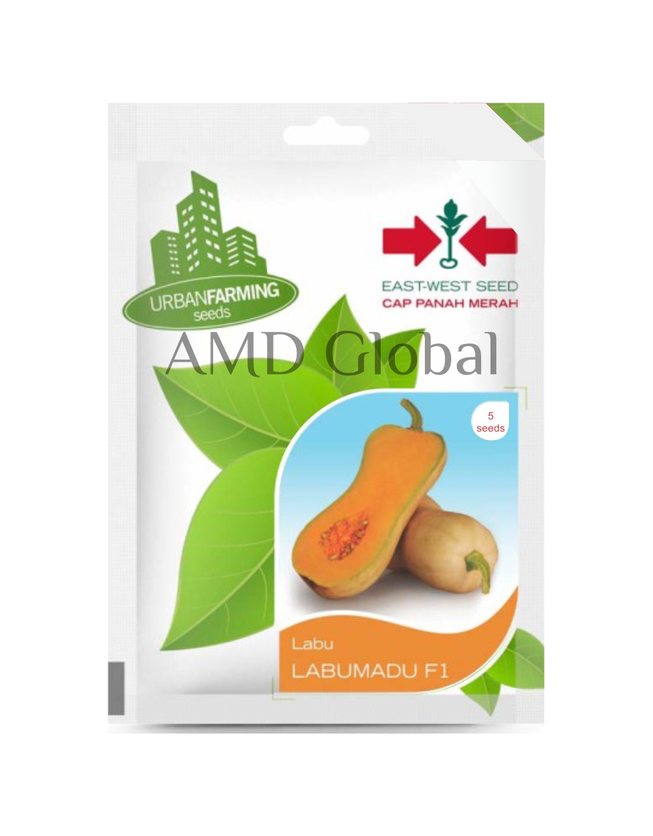 Benih Butternut Labu Madu F1 Cap Panah Merah Isi 5 Biji | Lazada Indonesia