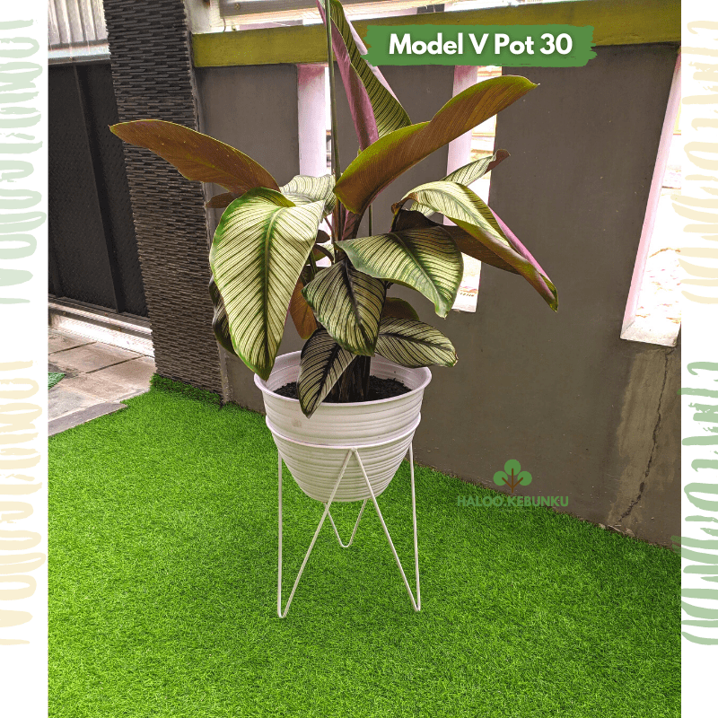 Standing Pot Bunga Besar ukuran Pot 30 model V besi kokoh | Lazada ...