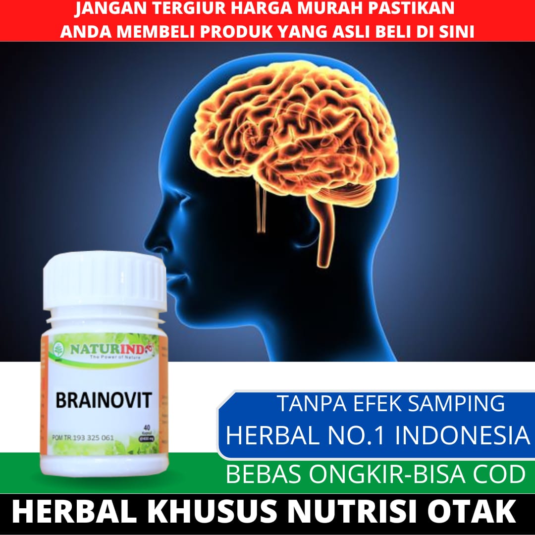 OBAT NUTRISI OTAK ANAK ALAMI PERTUMBUHAN OTAK ANAK DEWASA MENAMBAH DAYA ...