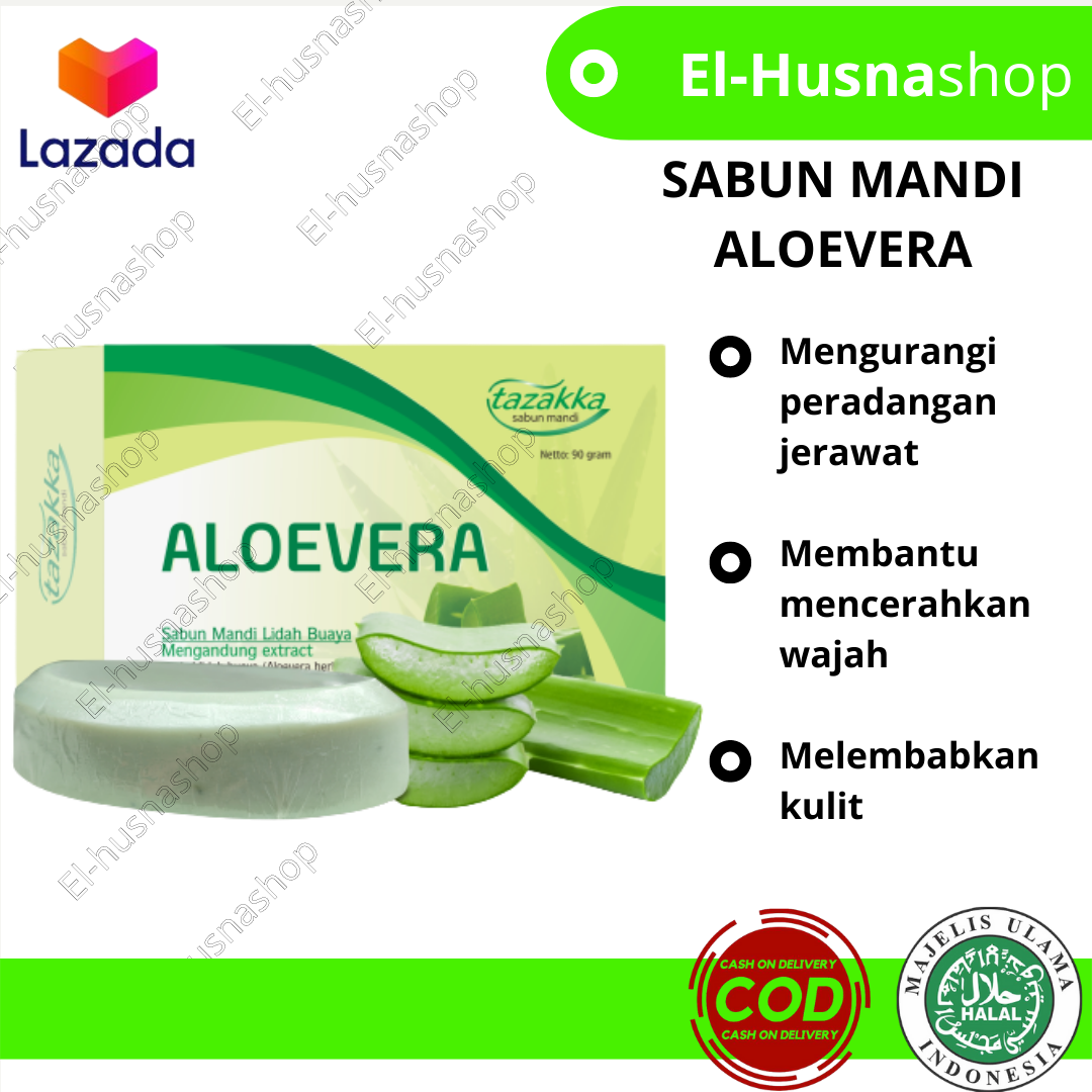 Sabun Mandi AloeVera Pelembab Kulit Kering Lidah Buaya Herbal Tazakka ...