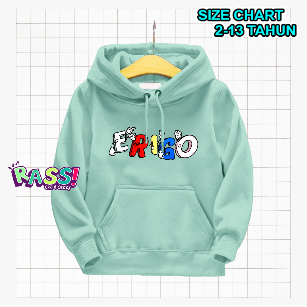 BSA KIDS Sweater Hoodie Anak Laki Laki Terbaru/Switer ERIGO WARNA Anak ...