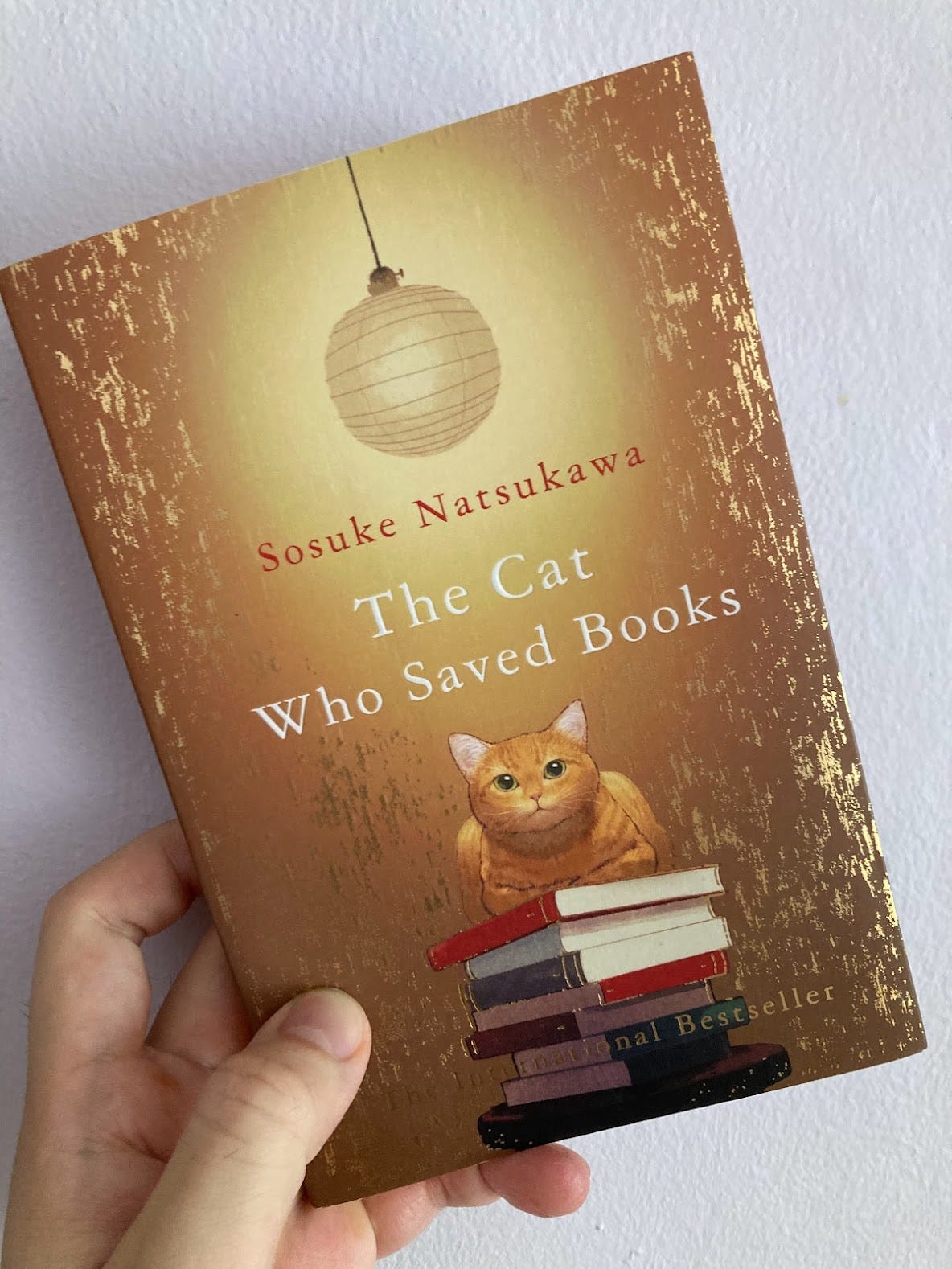 BUKU The Cat Who Saved Books - Sosuke Natsukawa (INGGRIS) | Lazada ... BUKU The Cat Who Saved Books - Sosuke Natsukawa (INGGRIS) | Lazada ...