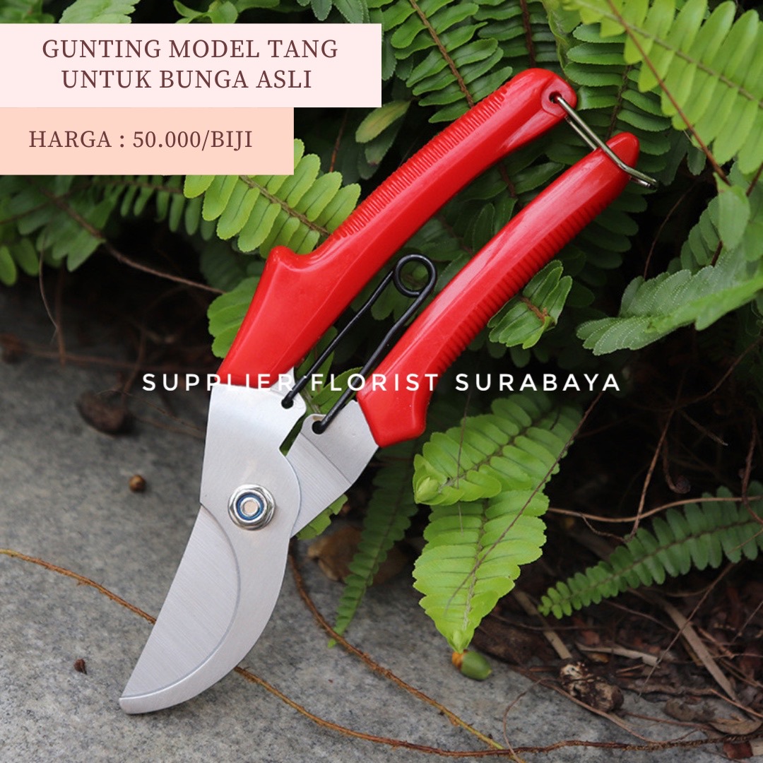 TANG GUNTING DAHAN POHON BATANG BUNGA ASLI PERLENGKAPAN PERKEBUNAN ...