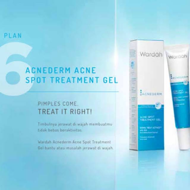 [ WARDAH ] Acnederm Acne Spot Treatment Gel | Lazada Indonesia