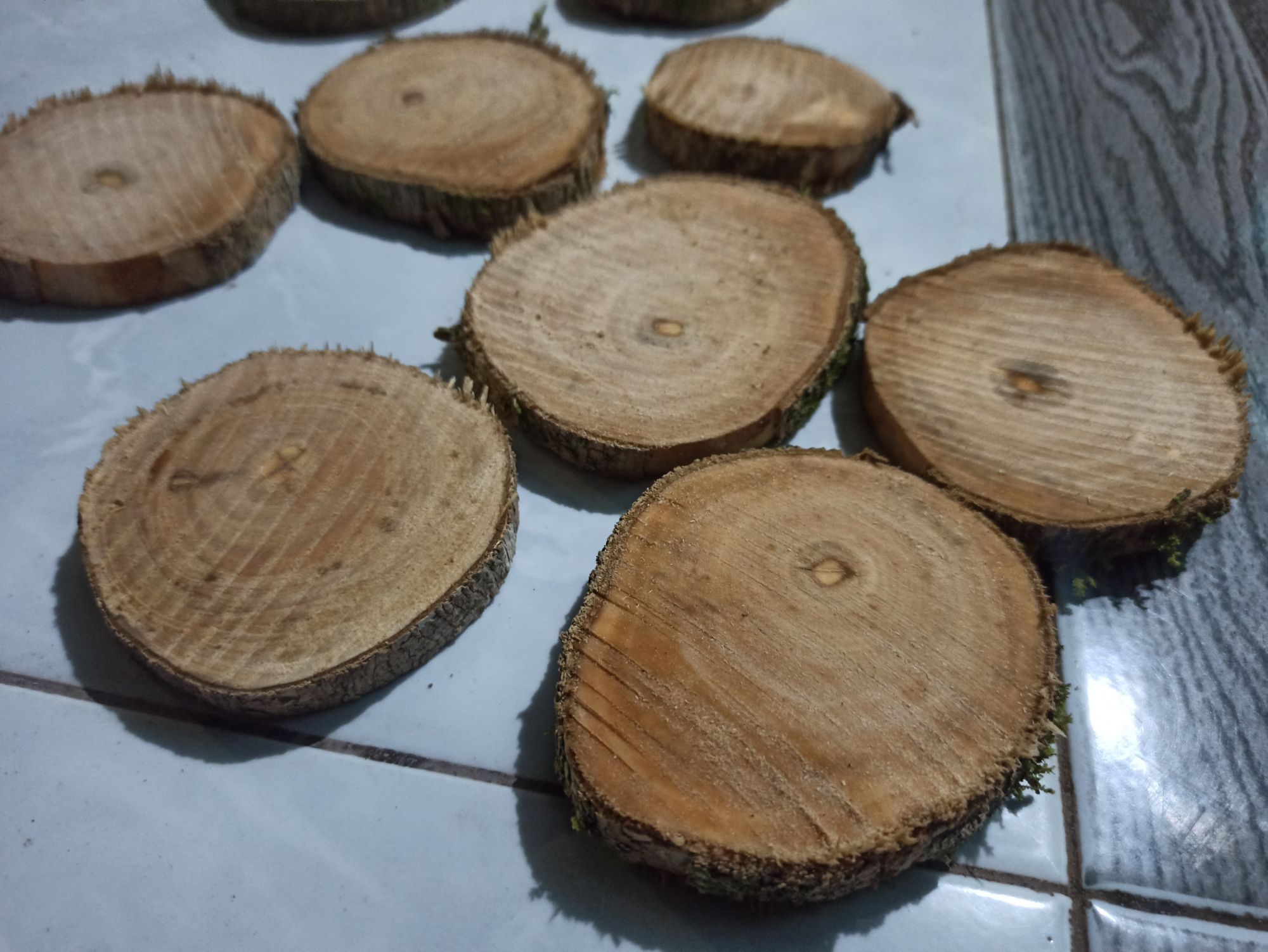 tatakan kayu bidara kayu bertuah penangkal setan dan jin | Lazada Indonesia