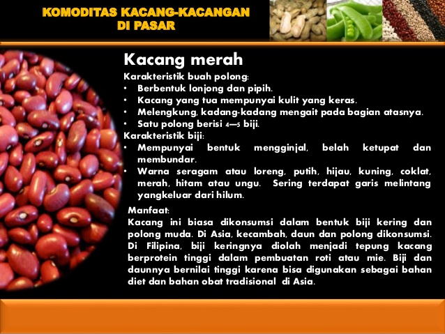 Bahan Dasar Kacang Merah Azuki / Kacang Merah Impor / Kacang Merah ...