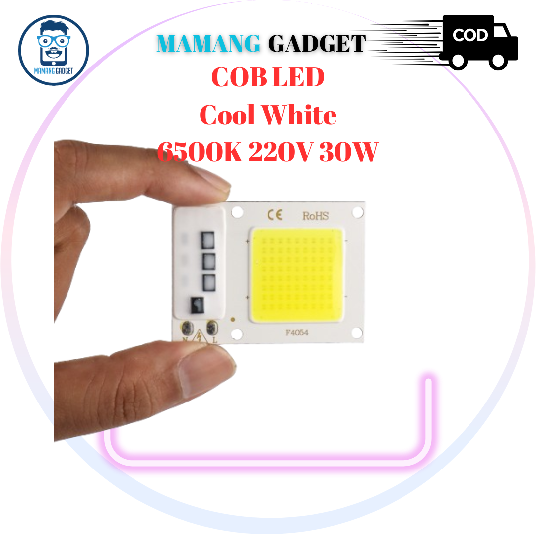 Lampu Chip Sorot Taman LED Lampu COB Spotlight Cool White 6500K 220V ...