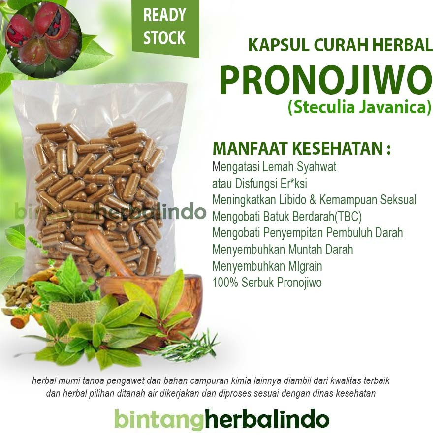 PRONOJIWO 100 Kapsul Herbal Migrain TBC | Lazada Indonesia