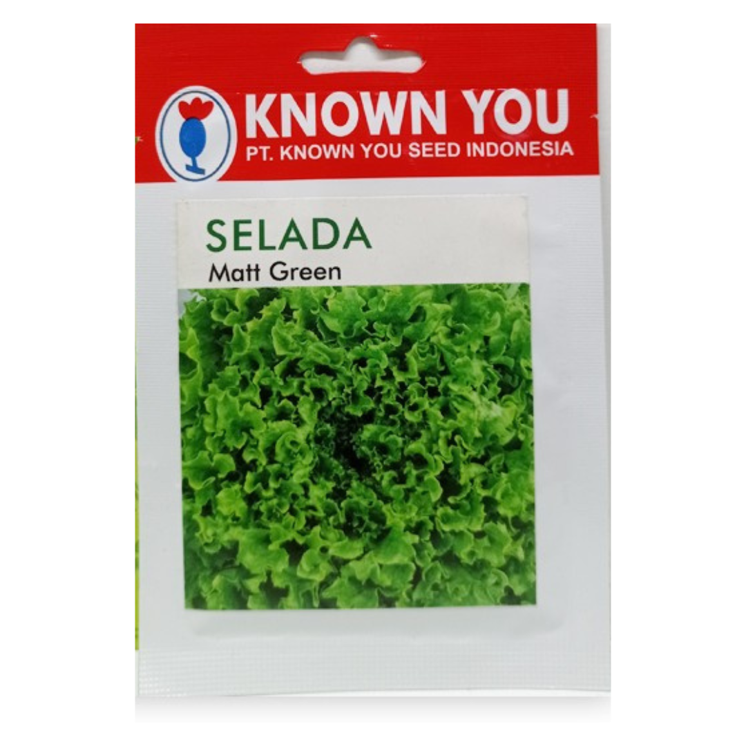 SELADA MATT GREEN 5 GRAM PACK KECIL biji Benih Selada Hijau keriting ...