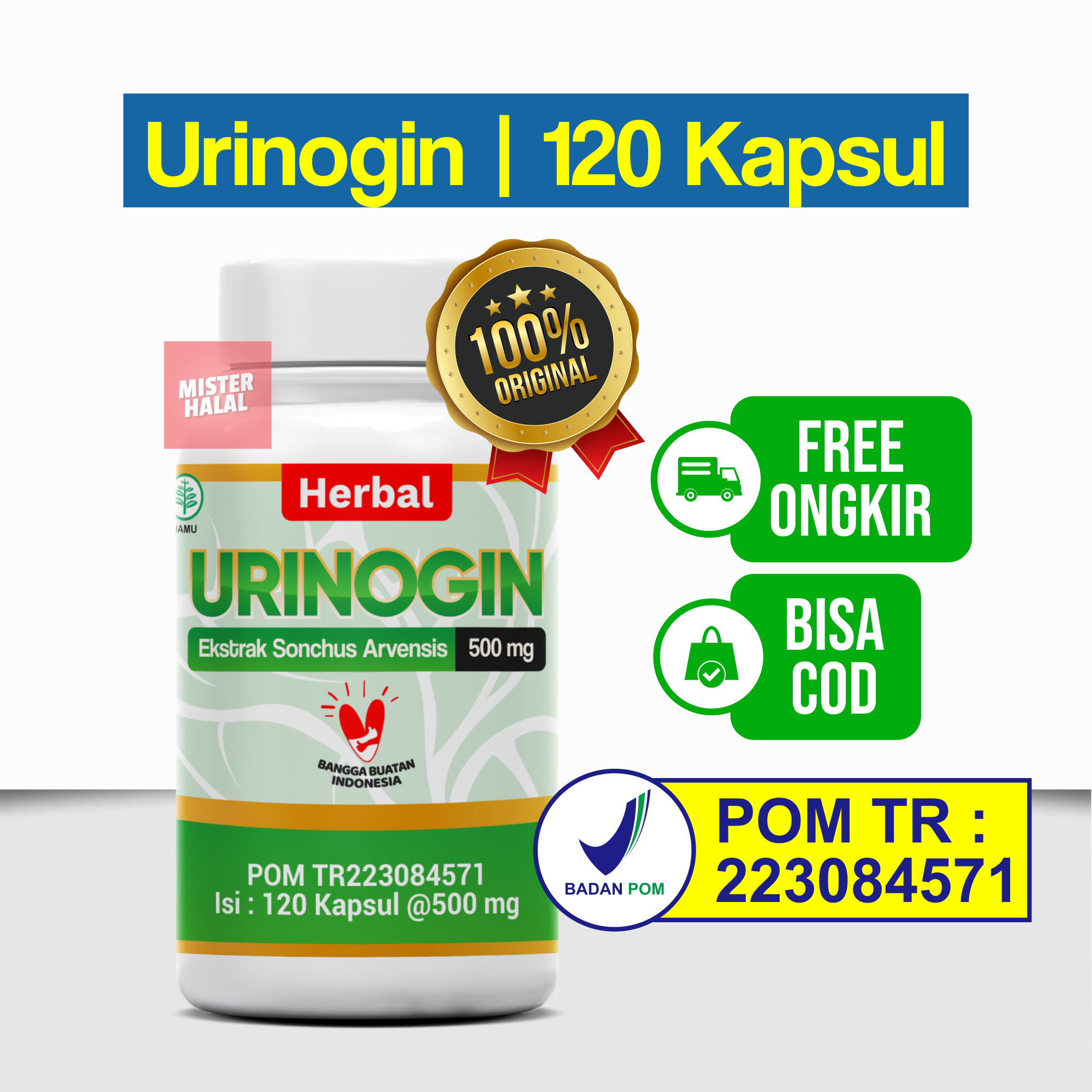 URINOGIN Obat Penghancur Batu Ginjal, Kencing Batu, Gagal Ginjal, Cuci ...