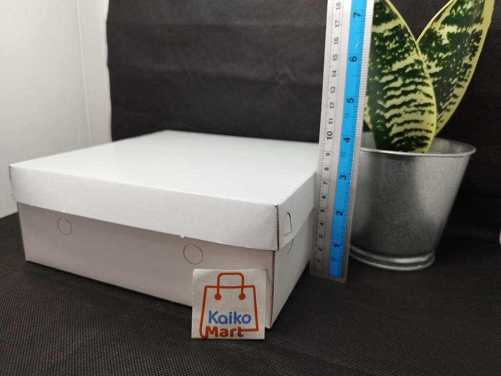 Dus Kotak Nasi Polos Putih 10 pcs | Lazada Indonesia