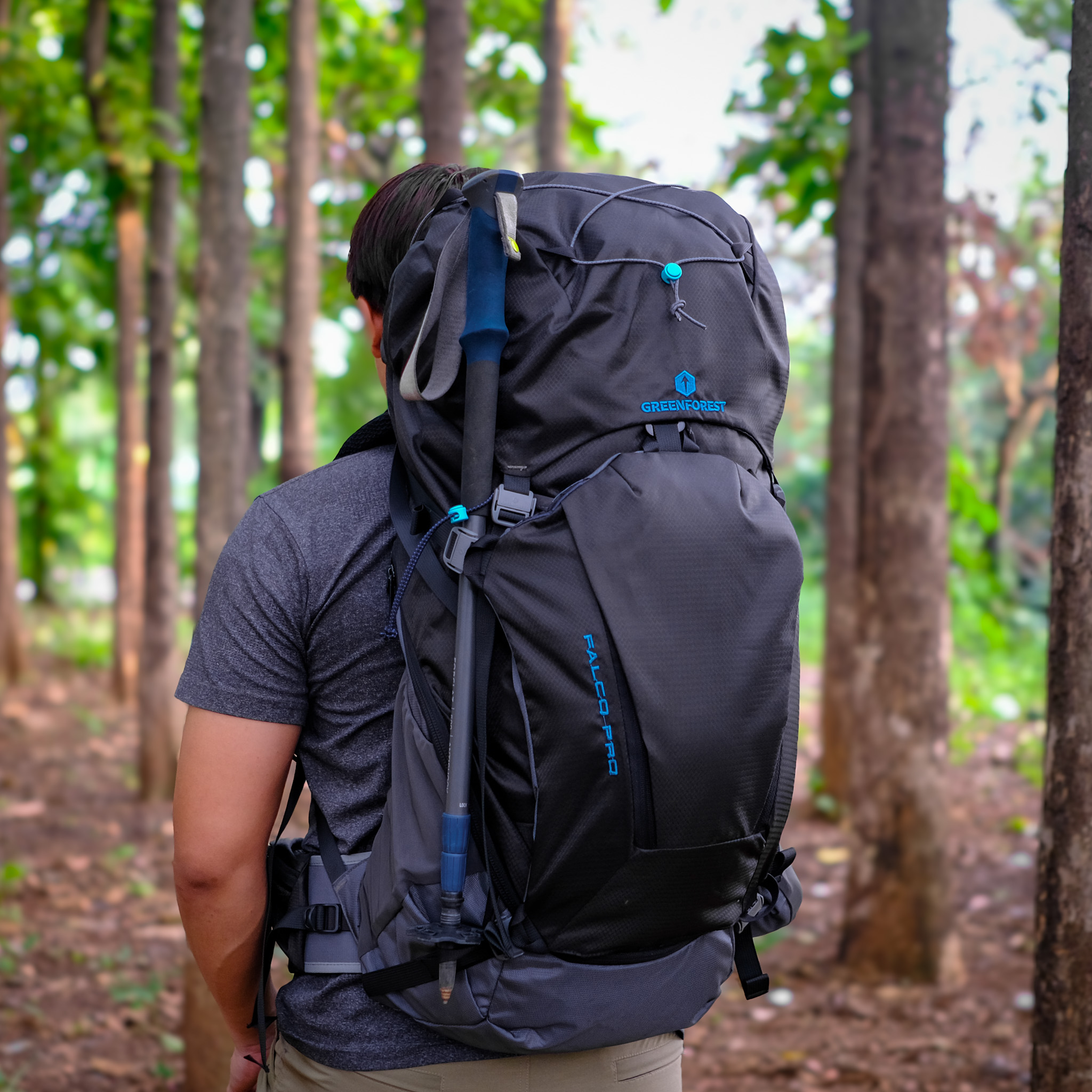 Greenforest Falco Pro Carrier 60+5 Liter Free Raincover - Tas Gunung 2 ...