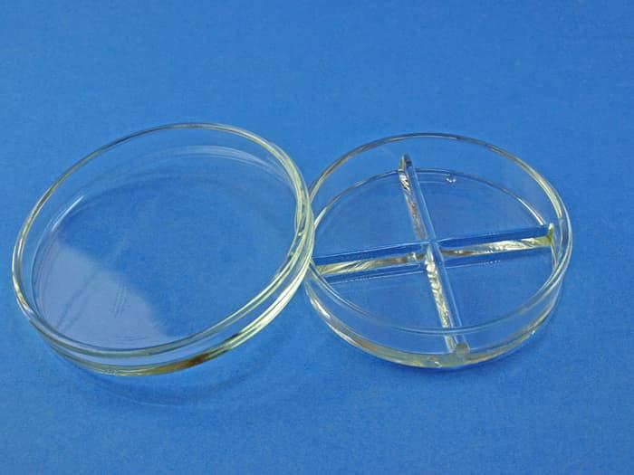 Duran Cawan Petri 4 Bagian | Petri Dish 4 Section | Lazada Indonesia Duran Cawan Petri 4 Bagian | Petri Dish 4 Section | Lazada Indonesia